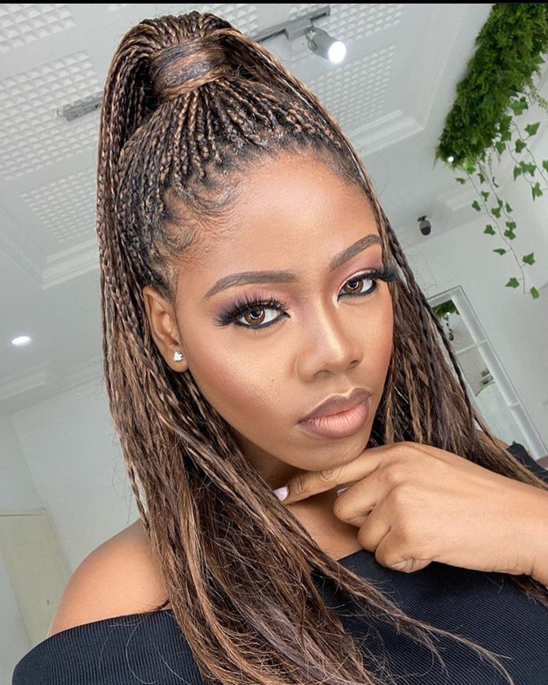 167 Photos: Braided Hairstyles You Can Make Braid Design – We care ...