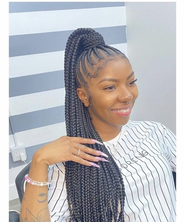 75+ Stylish and Protective Braided Hairstyles for All Hair Types – We ...