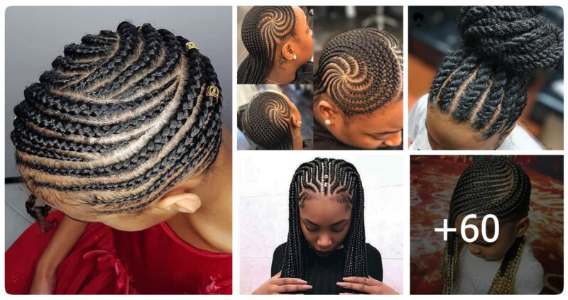 60 Best Black Braided Hairstyles to Try in 2024 – We care about your beauty.